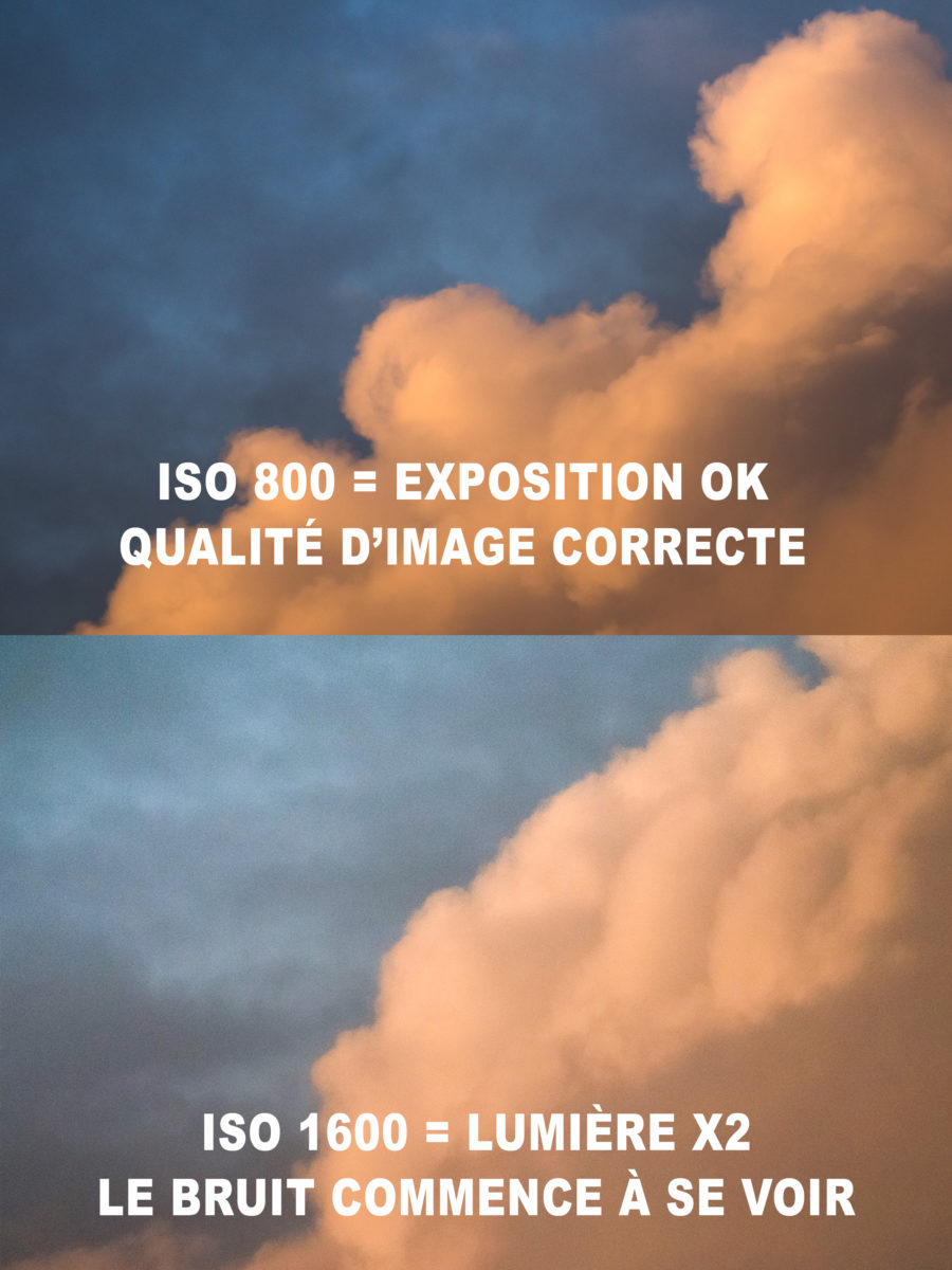 Comprendre les ISO en photographie - Photographe en herbe