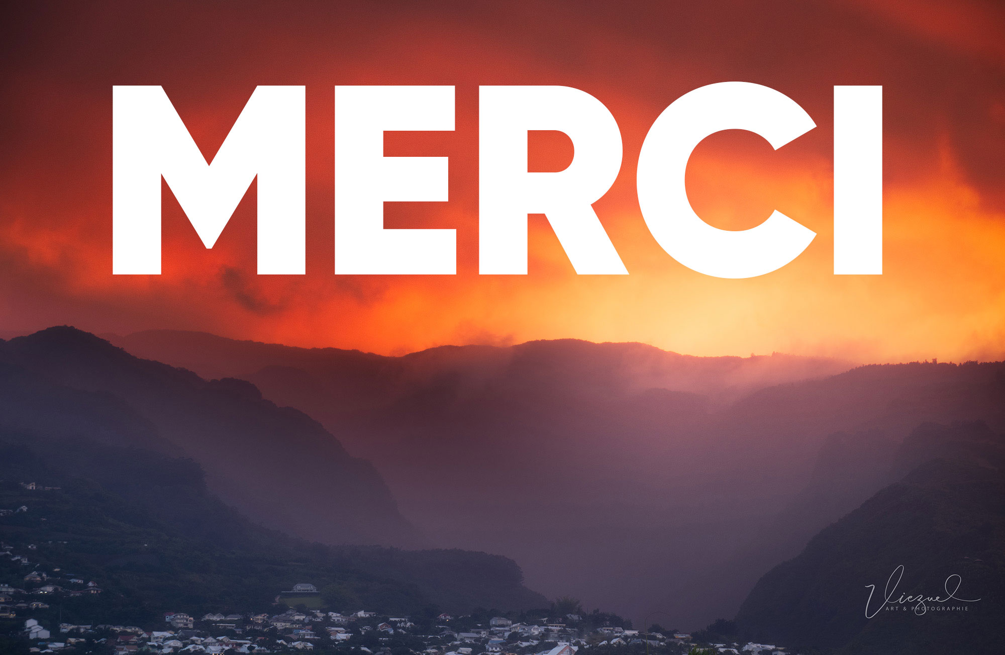 Un grand merci + sondage photo - Photographe en herbe